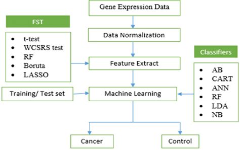 Overview Of Proposed Computational Method Download Scientific Diagram