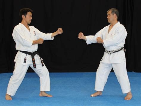 Kamae On A Basic And Advanced Level The Digi Dojo