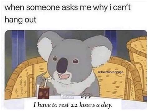 72 Funny Memes Just For You Ebaums World