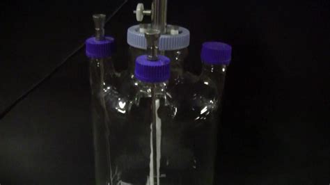 Spinner Flask Reactor Pre Post Processing Future4200