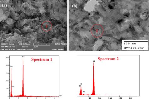 Tem And Fe Sem Micrographs And Eds Spectrums And Of The Al5083 5wtb4c