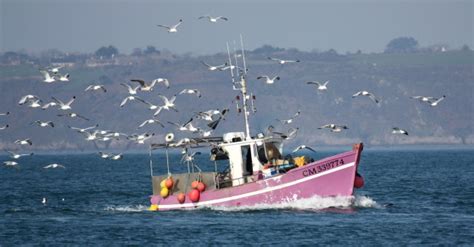 Marivan Cm339774 Ancien Fileyeur De Camaret