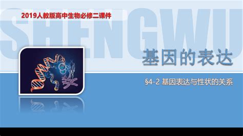 [生物]基因表达与性状的关系 课件 共37张ppt 课件下载预览 二一课件通