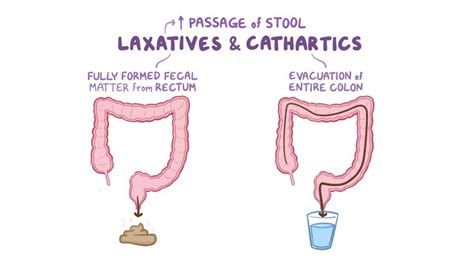 Laxative Not Working After 12 Hours At Tammy Warkentin Blog