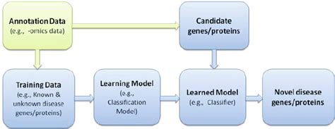 A Common Scheme Of Classification Based Methods For Disease Gene
