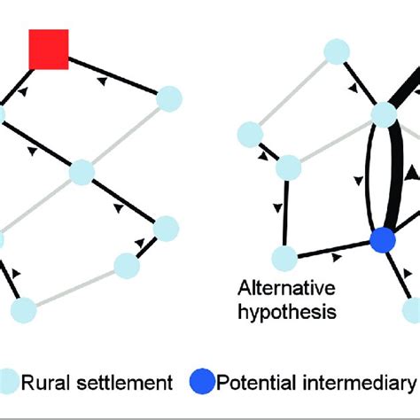 Schematic Examples Of The Null Hypothesis All Goods Flow Directly To Download Scientific