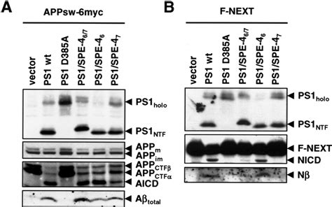 Mapping Of The Tmd In Ps1 Spe 4 6 7 Required For Notch Processing A Download Scientific