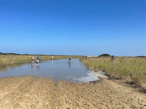 Glad We Left The Wheely Cart In The Car Rgunnisonbeach