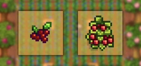 Stardew Valley Best Crops Shockbyte