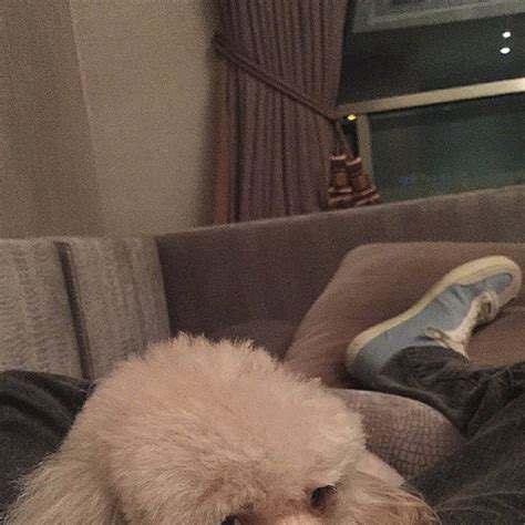 Is It Valid To Apply Fixed Effects Or The System Gmm Method To This