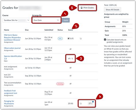 Babe View Of Grades CTE Resources