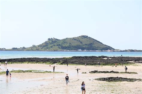 없음 맛있는 콩아이스크림 Facebook