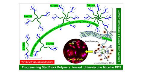 Structural Engineering Of Star Block Biodegradable Polymer Unimolecular Micelles For Drug