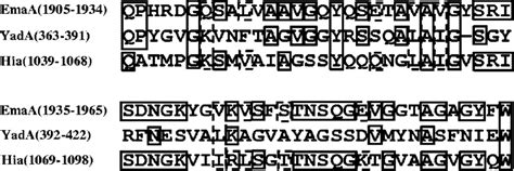 Sequence Comparison Of The Putative Membrane Anchor Domain Of Emaa The