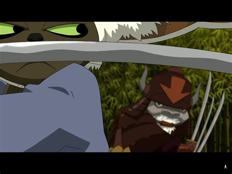 Appa And Momo Wallpapers Top Free Appa And Momo Backgrounds Wallpaperaccess