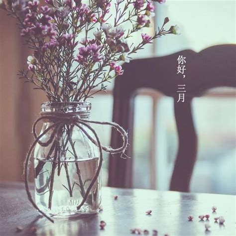 你好三月 每日頭條