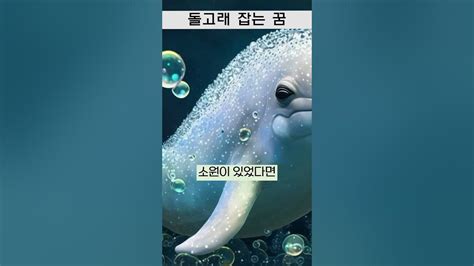 돌고래 잡는 꿈 Youtube