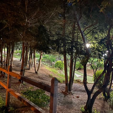 Mini Put 2025 All You Need To Know Before You Go With Photos Tripadvisor