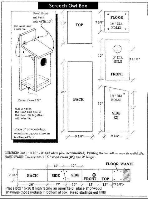 Owl House Plans How To Build Artofit