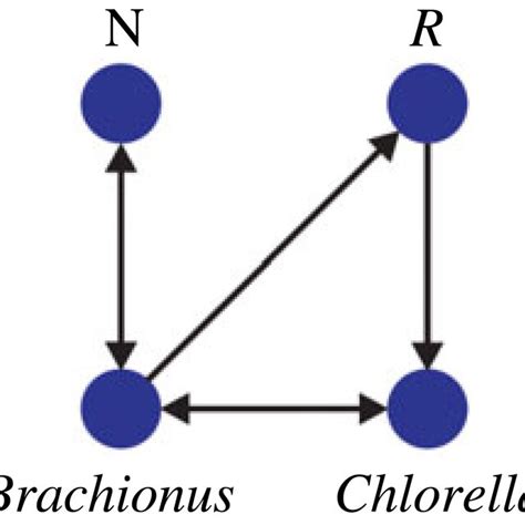 Causal Network Associated With The Predatorprey Mathematical Model Download Scientific Diagram
