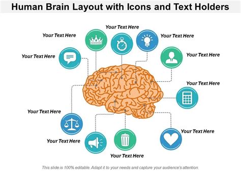 human brain layout with icons and text holders ppt powerpoint