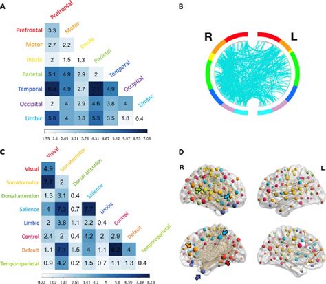 Functional Anatomy Of The Cpm Model Predicting The Semnet Metric Uun Q