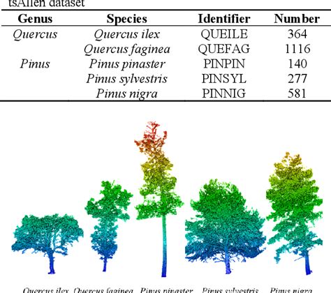 Table 1 From Tree Species Classification Of Point Clouds From Different