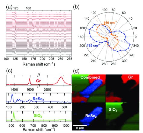 A Incident Light Polarization Dependent Raman Spectra Obtained By Download Scientific
