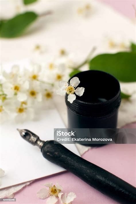 봉투 종이 흰 꽃 검은 잉크와 만년필 흰색 꽃 서 예 펜촉 잉크 봉투 및 백색 노트 카드와 여성 책상 작업 스타일 감상성에 대한 스톡 사진 및 기타 이미지 Istock