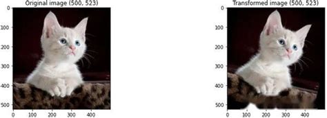 12个常用的图像数据增强技术总结 知乎