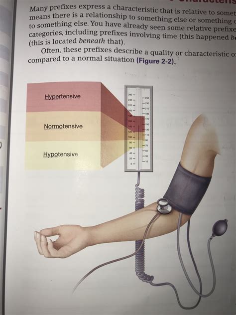 Chapter 2 Diagram Quizlet
