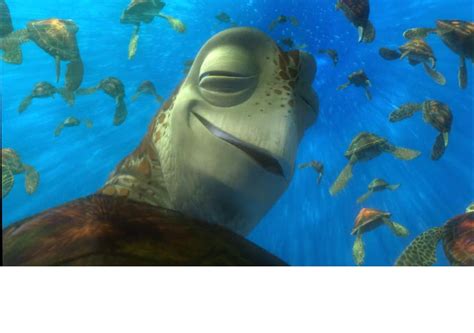 Turtle From Nemo Saying