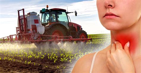 ‘just Too Dangerous Herbicide Linked To Birth Defects Thyroid