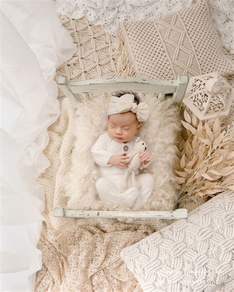 Glorious A Darling Collection Digital Backdrop Oz Backdrops And Props
