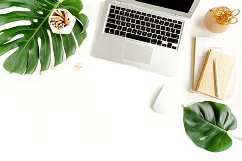 플랫 평신도 홈 오피스 데스크 노트북 열대 야자수가 있는 여성 작업 공간 몬스타 흰색 배경의 액세서리를 남깁니다 맨 위 보기 여성스러운 배경 개인 장식품에 대한 스톡 사진