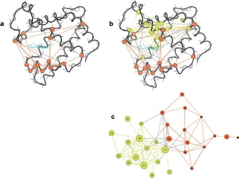 Newmans Clustering Algorithms Newman 2004 Are Used To Identify