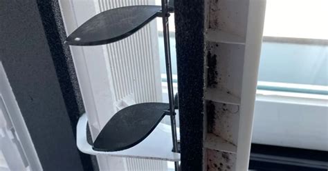 너무 꼼꼼히 잘 해 주셔서 정말 너무 감사했습니다 ️ 번창하셨으면 좋겠어요 숨고 숨은고수