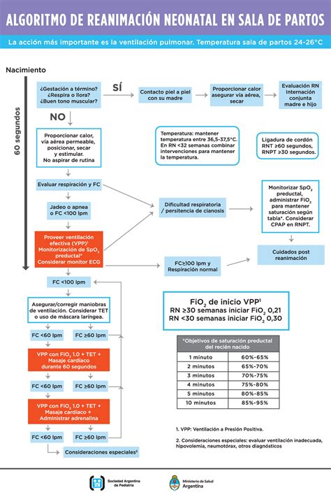 Algoritmo Rcp 2022 Algoritmo Paso A Paso De Acuerdo A La Ultima