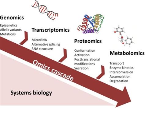 What Is Omics Data Fatemeh Akhoundi Posted On The Topic Linkedin