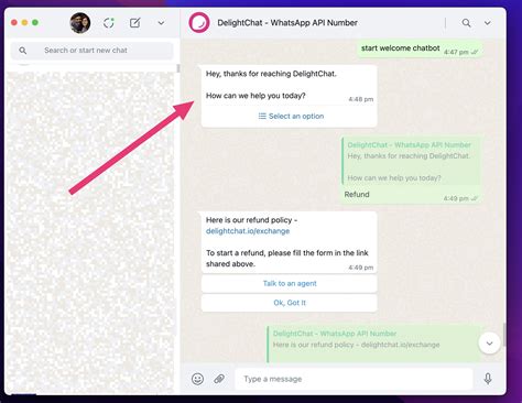 Auto Reply Using Rich WhatsApp Interactive Messages