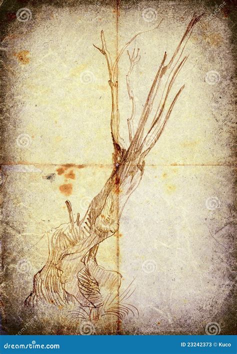 Drawing Dry Tree Sketch Illustration Cartoon Vector CartoonDealer Com 71493485