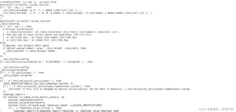 Linux网络服务 Dns服务及正反解析实验正向解析没问题反向解析报错 Csdn博客