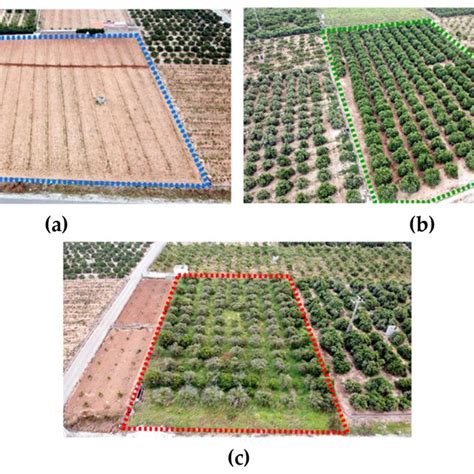 Types Of Plots Classified According To The Type Of Coverage A