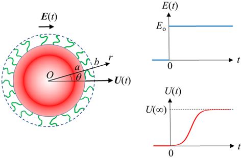 Spherical Soft Particle Consisting Of The Core Of Radius A Covered With