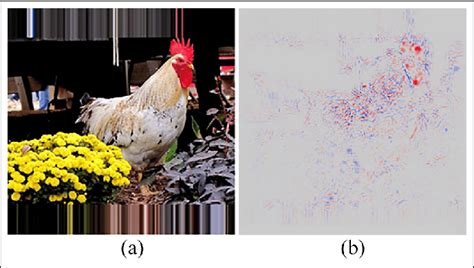 Original Image And Example Heatmap Per Instance Explanation For A Cnn