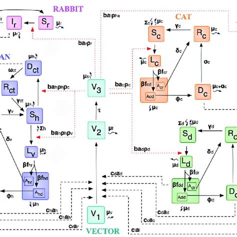 Model Of The Leishmaniasis Dynamic Vector V1 Non Infected V2