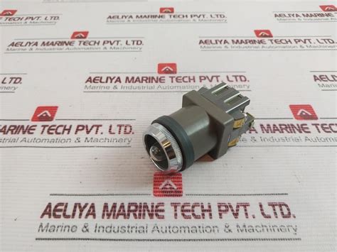 Idec 18v 2w Illuminated Pushbutton 12v Aeliya Marine