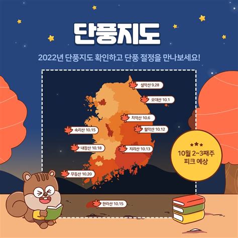 망고보드 카드뉴스 상세페이지 동영상 템플릿 Layout Graphic Basic