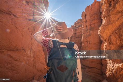 젊은 여성 여행 브라이스 캐년 국립공원 유타 미국 사람들이 여행을 자연을 탐험 붉은 암석에서 하이킹을 하는 소녀 25 29세에 대한 스톡 사진 및 기타 이미지 Istock