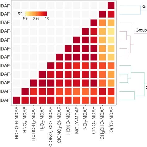 Correlation Matrix And Hierarchical Clustering Dendrogram For The
